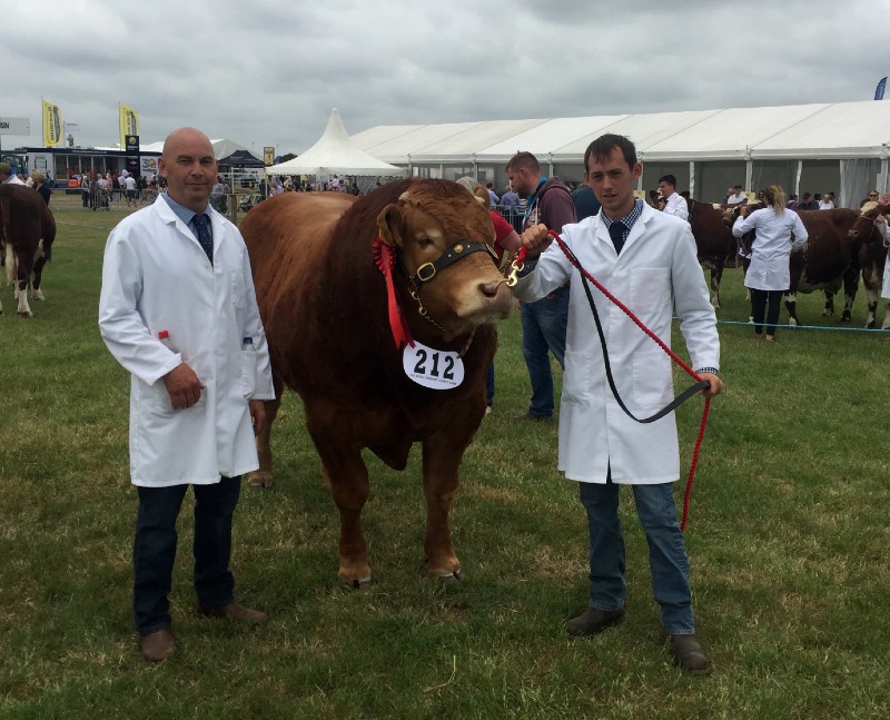 Award Winning Animals - Lakemore Farm